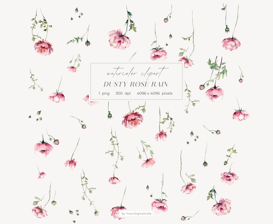 Dusty Rose Rain Clipart: Falling Roses Background, Watercolor Floral ...