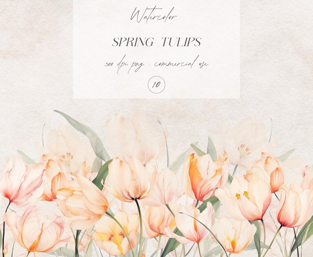 Watercolor Floral Borders Clipart Bundle, Spring Flowers Clip Art ...
