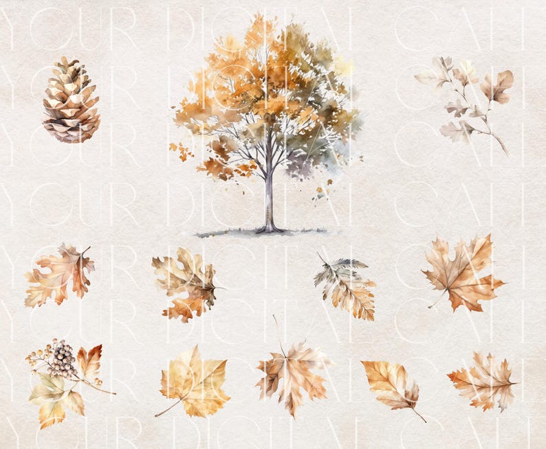 Watercolor Fall Clipart Bundle, Neutral Autumn Graphics PNG, Fall ...