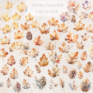 Autumn Clipart Bundle Fall Clipart Bundle Watercolor Bundle-fall ...