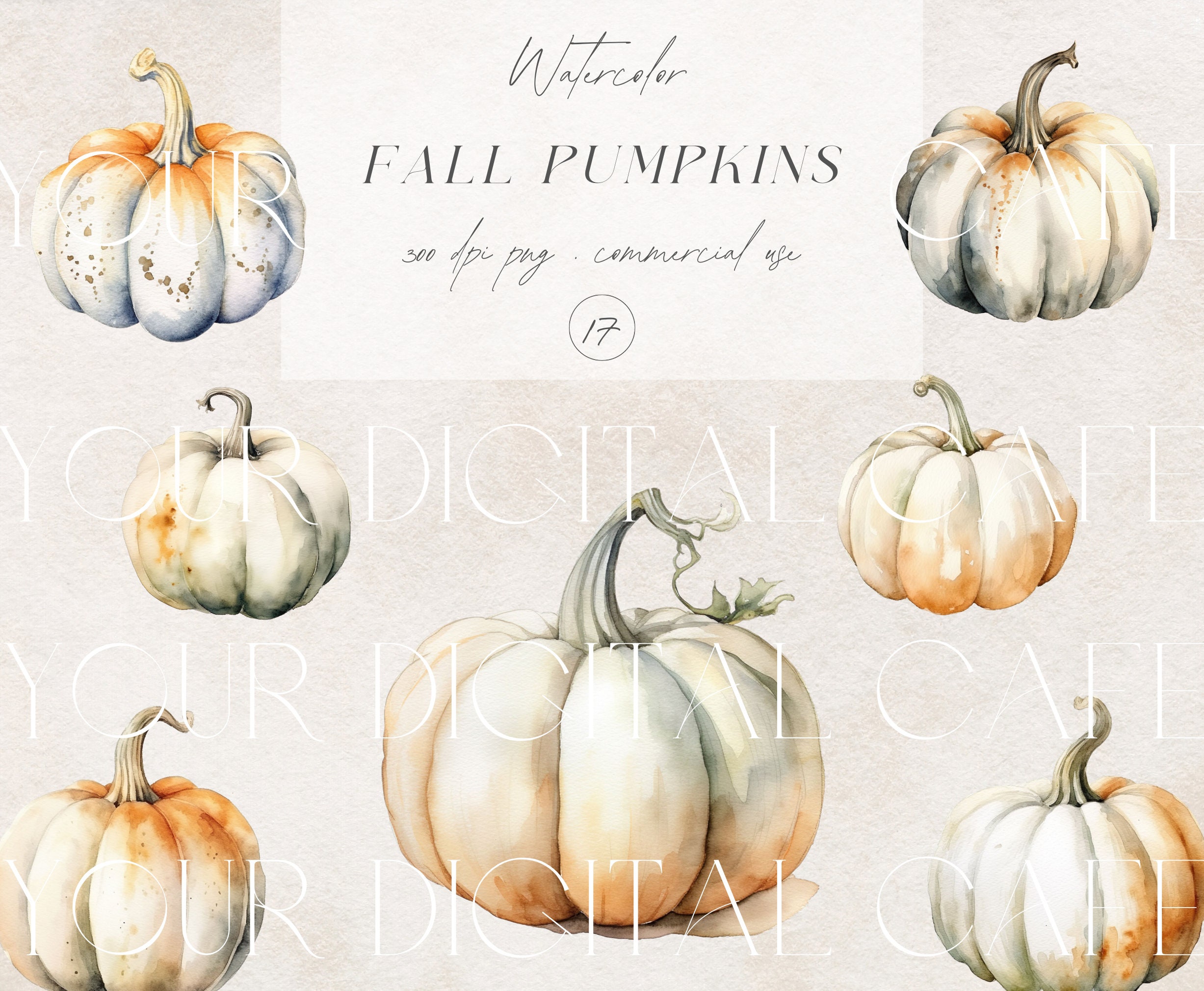 Fall Pumpkins Clipart Watercolor Autumn Pumpkins Autumn White Pumpkins ...