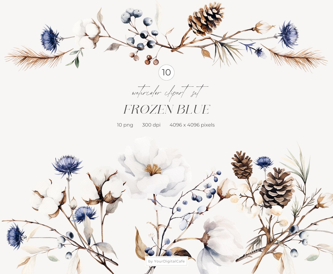 Watercolor Blue Winter Flowers Clipart: Berries, Cotton Flower, Borders ...