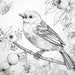 Set of 5 Children Colouring Pages With the Bird Theme - Etsy