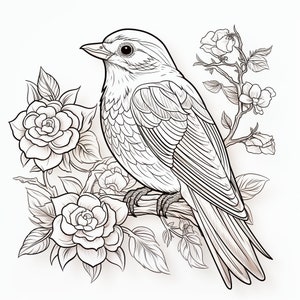 Set of 5 Children Colouring Pages With the Bird Theme - Etsy