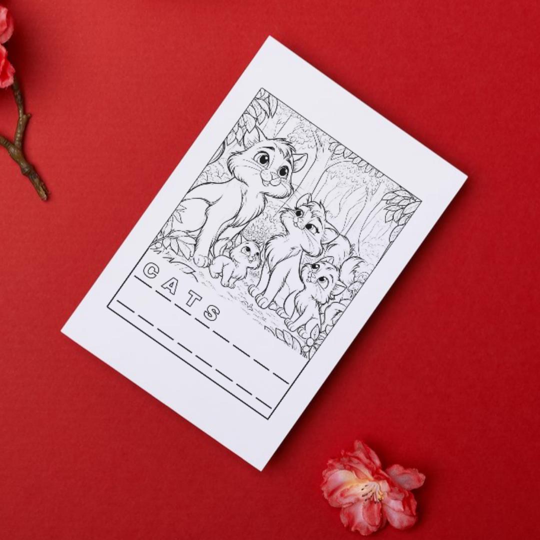 JW. Children's Coloring Book "not Ashamed of the Good News" – 2024/2025 ...