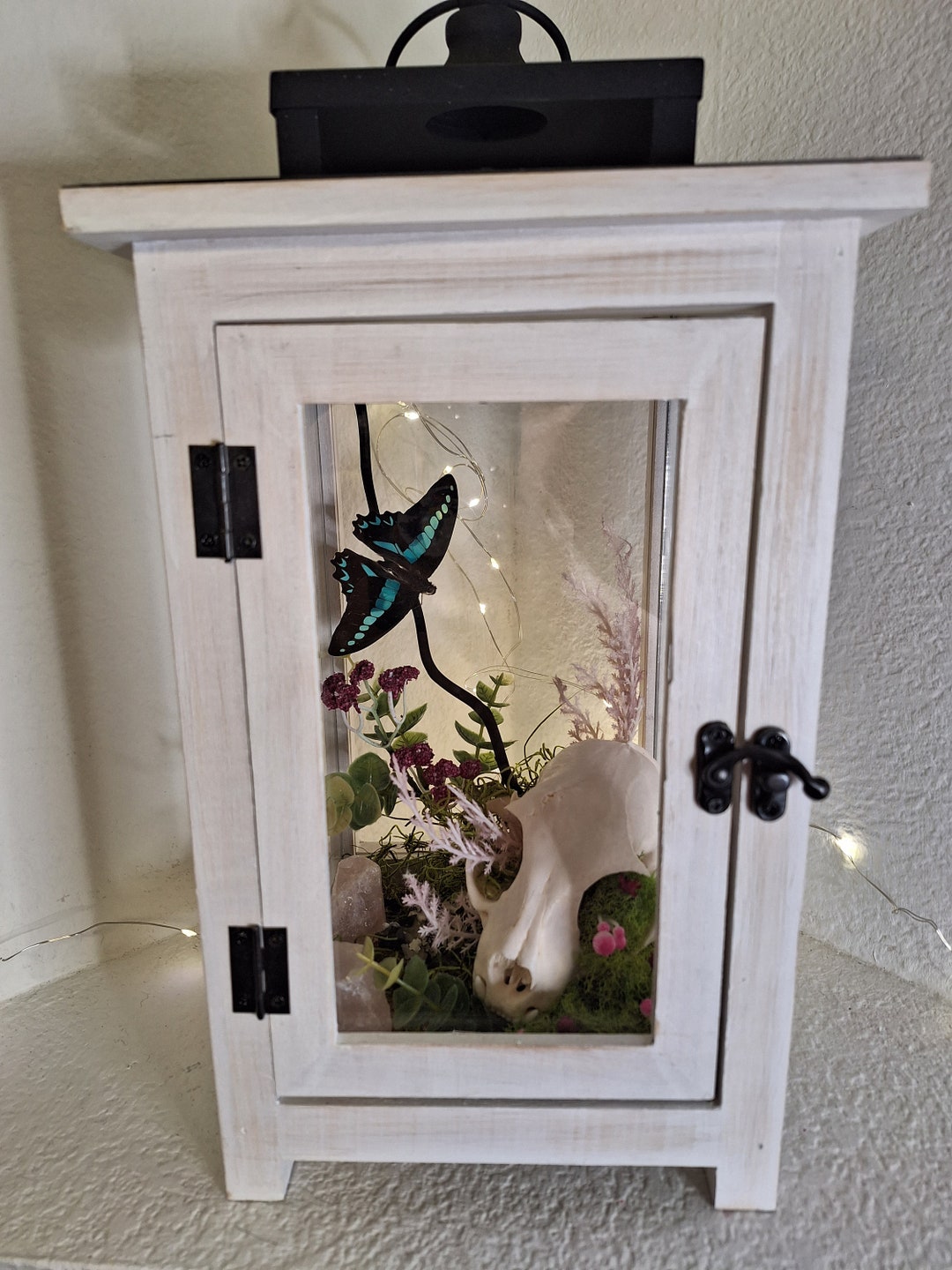 Pastel Goth Terrarium - Etsy