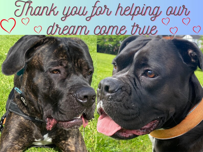 30 Grayscale Eternal Love Cartoon Style Coloring Book Set Printable ...