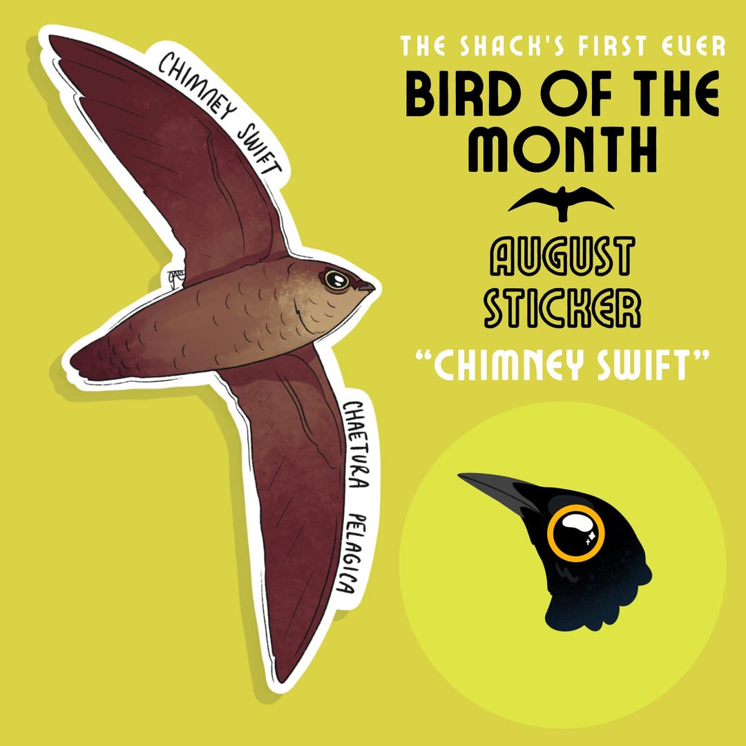 BIRD of THE MONTH August 2024 Sticker - Etsy