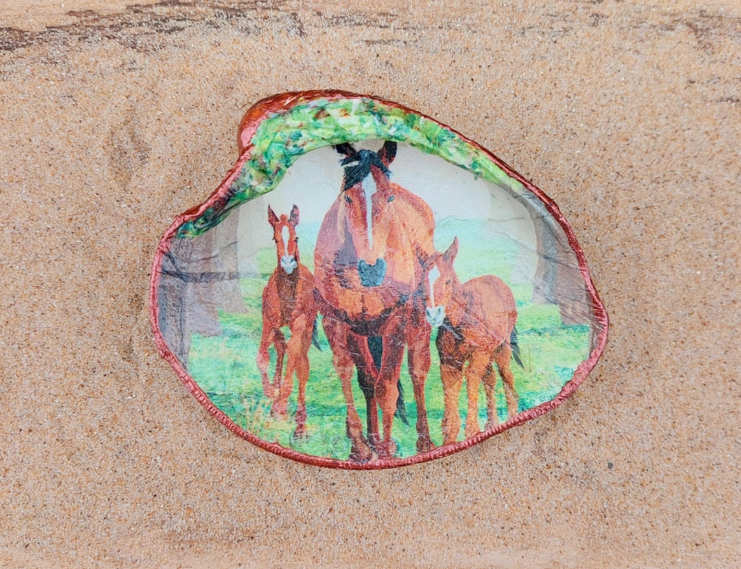 Clam Shell Trinket Dish - Horse Design ~ Handpainted, Decoupaged, Ring ...