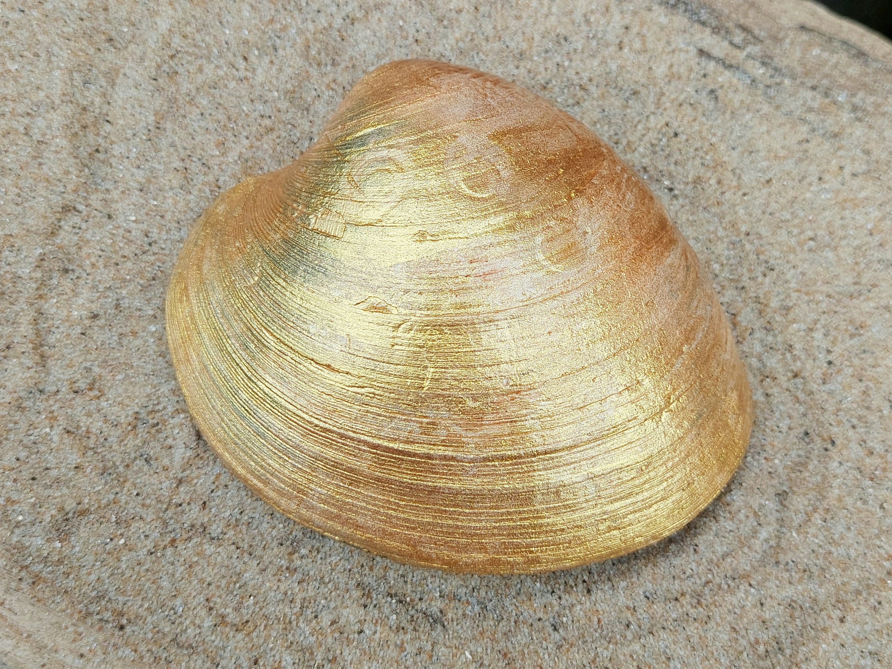 Clam Shell Trinket Dish Blue, White, Gold Coral Design Handpainted ...