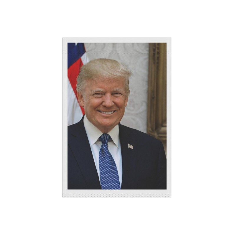 Poster, Donald Trump President Official Photo Portrait Cool Wall Art ...