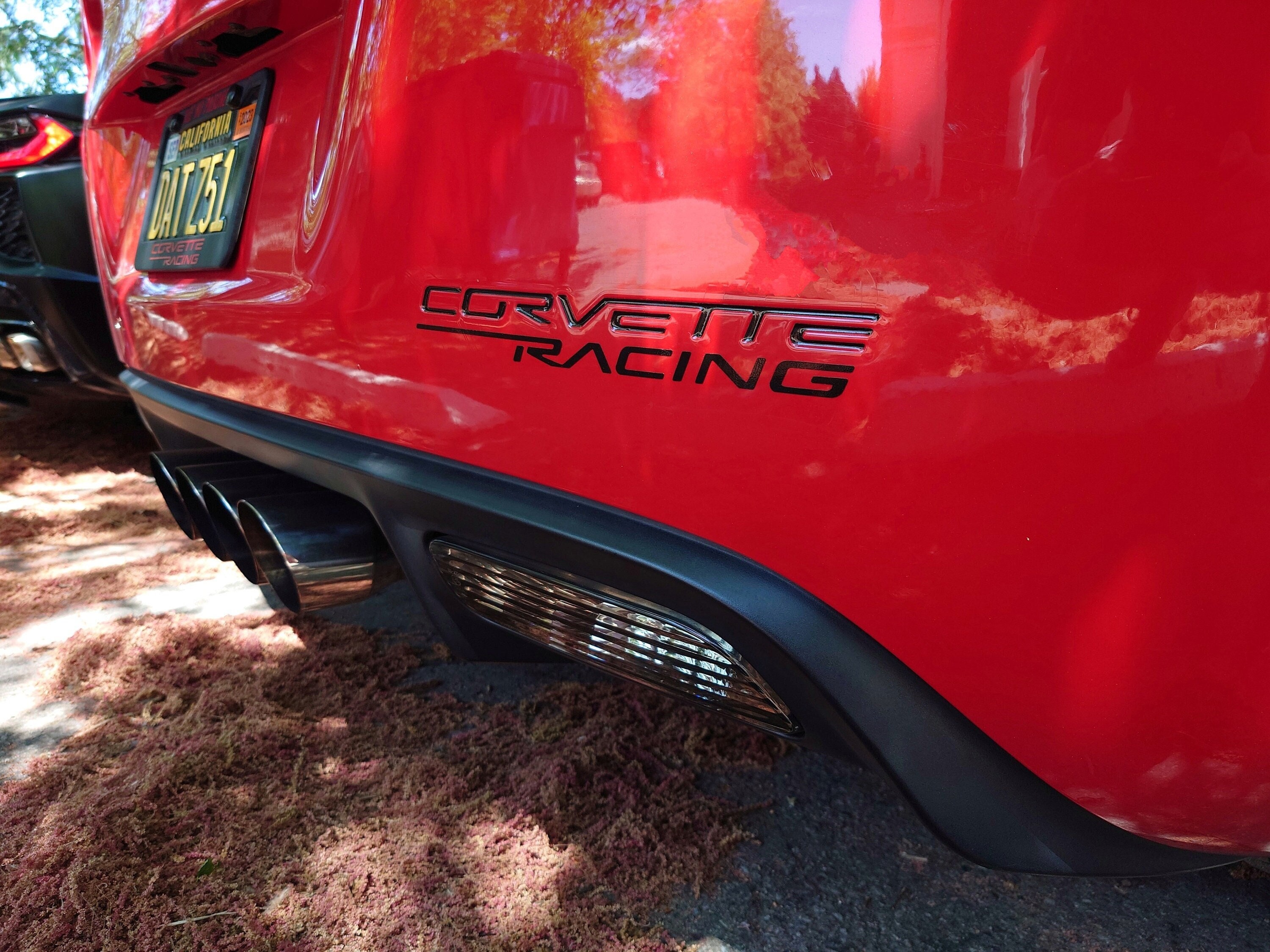 Corvette Racing Decal C6 Corvette Rear Bumper - Etsy