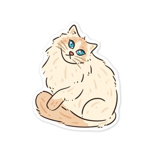 Ragdoll Cat Sticker - Etsy