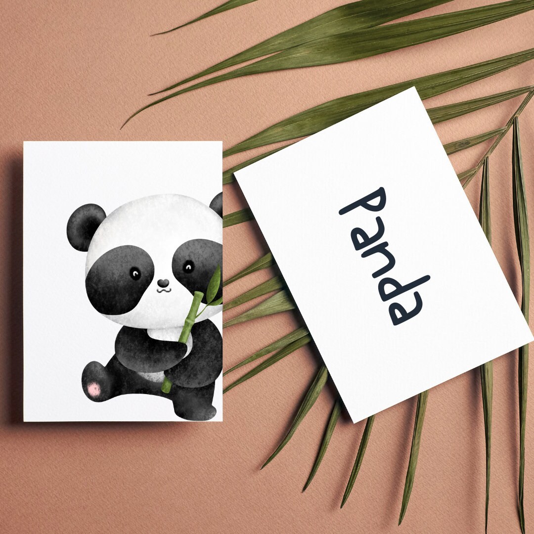 Jungle Animal Flash Cards | Match, Say & Spell | Printable Montessori ...