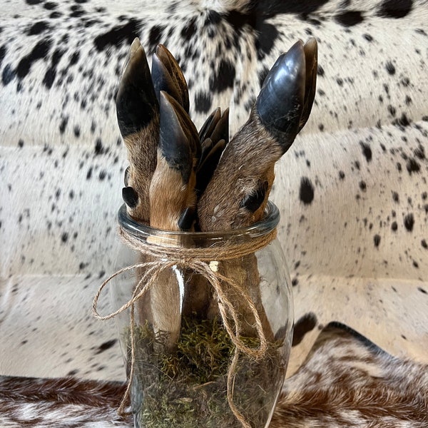 Deer Hooves - Etsy