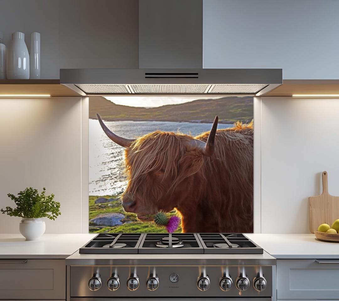 Quality 6mm Toughened Glass Kitchen Splashback Panel - Highland Cow ...