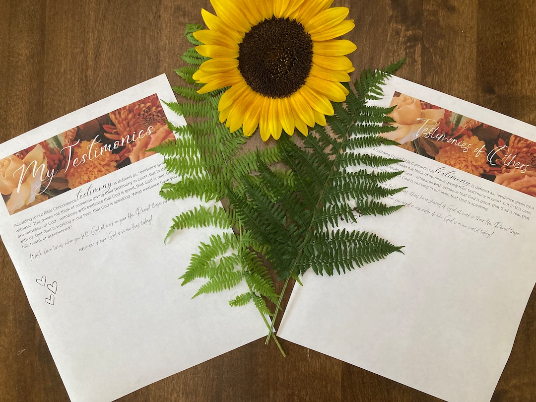 Bible Journaling Testimony Tracking Pages - Etsy