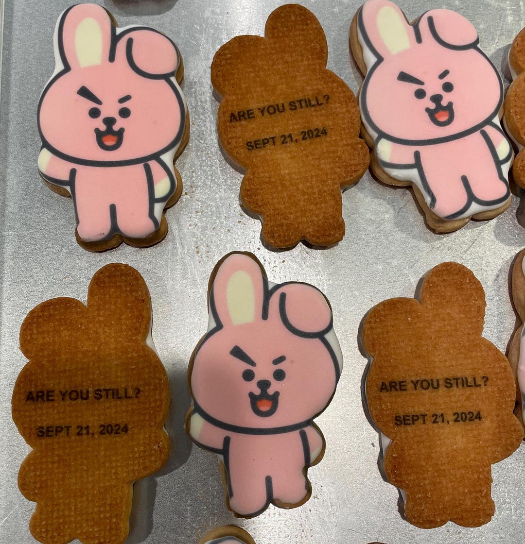 BT21 Cookies - Etsy
