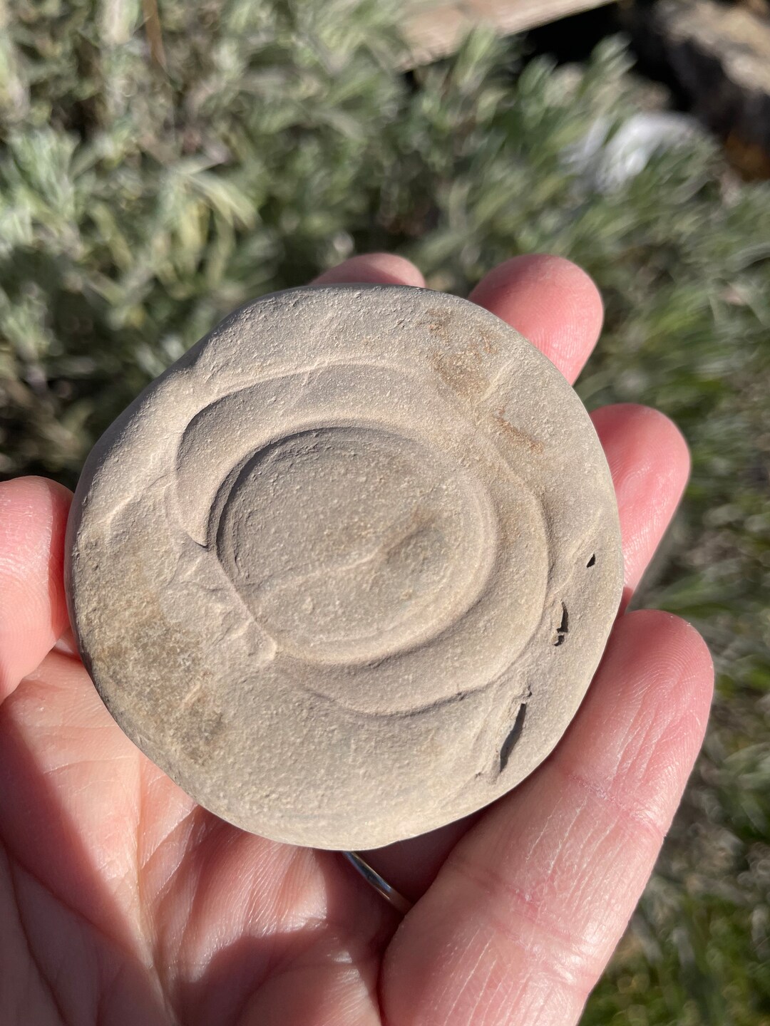 Concretion / Fairy Stone - Etsy