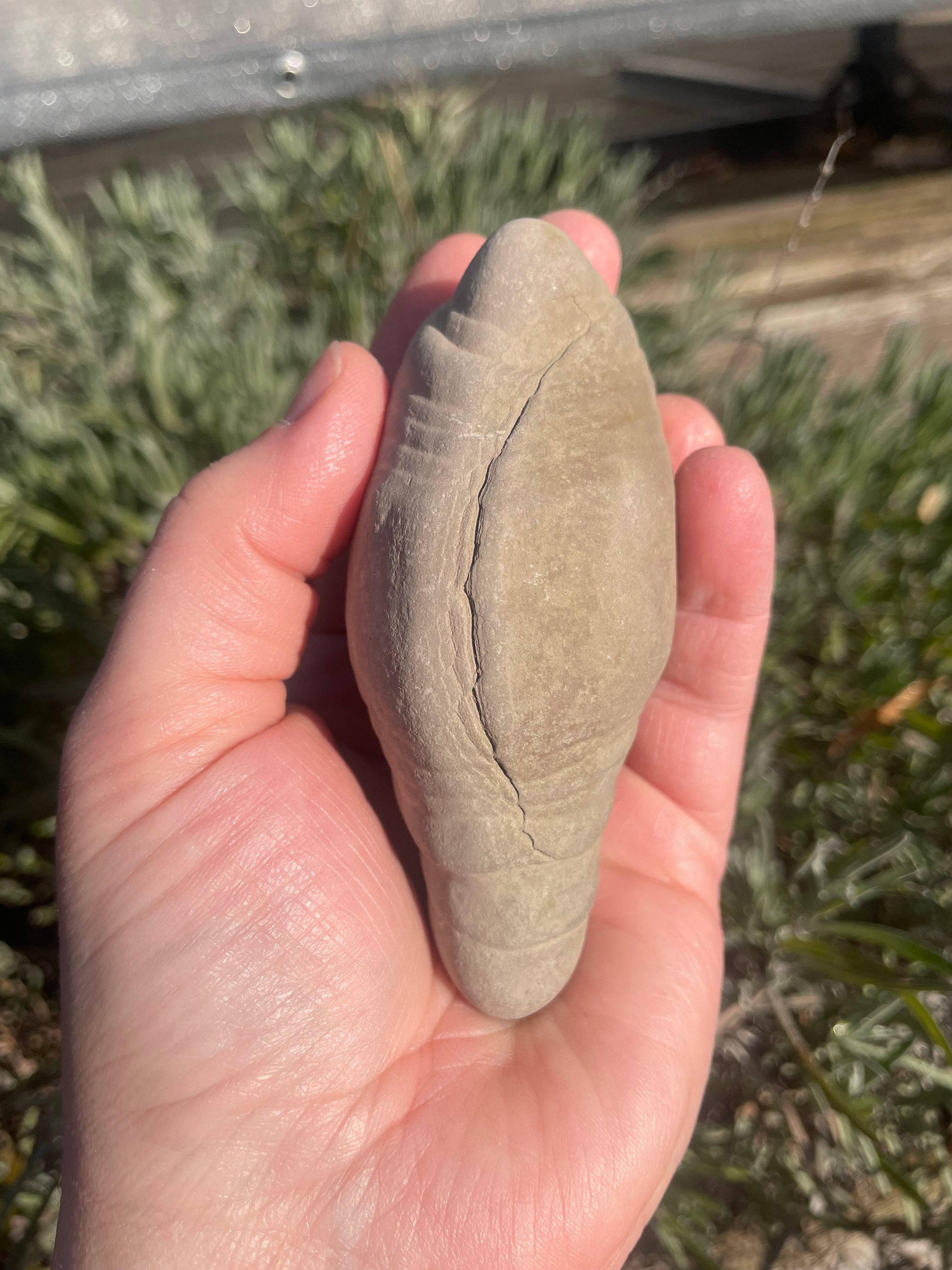 Concretion / Fairy Stone - Etsy