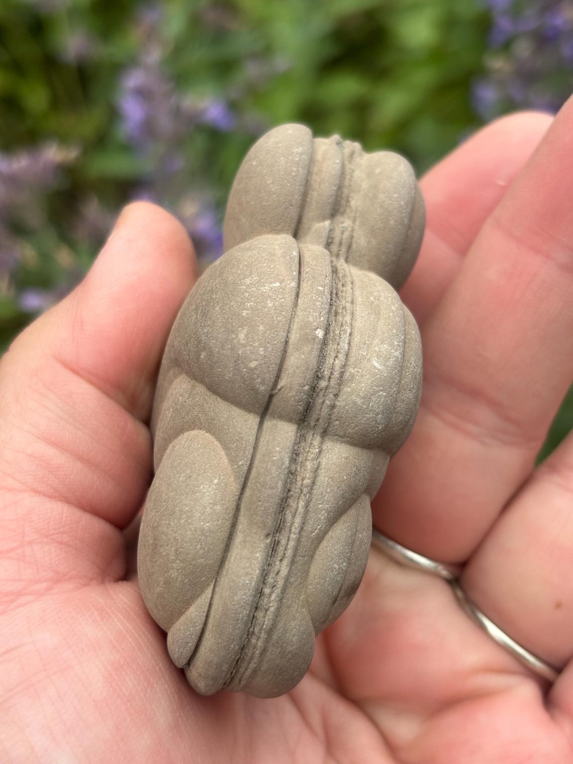 Natural Concretion Stone (135 Gram) – Unique Character Piece - Etsy