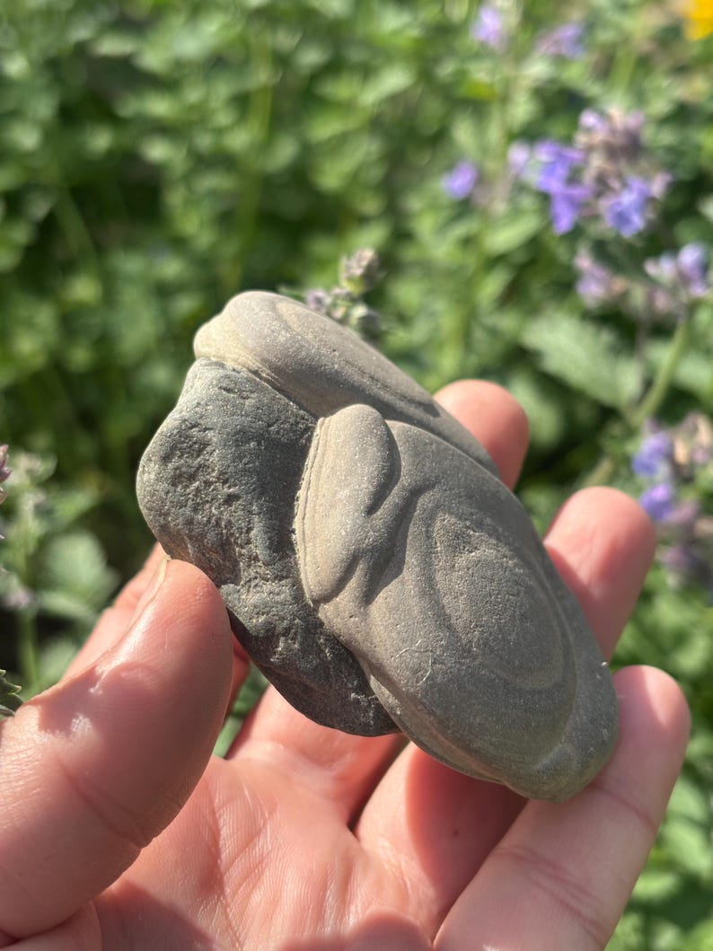 Double Concretion on Matrix Fairy Stone – Unusual Natural Specimen ...