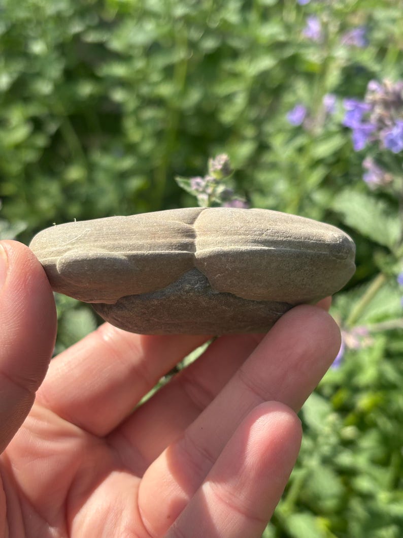 Double Concretion on Matrix Fairy Stone – Unusual Natural Specimen ...
