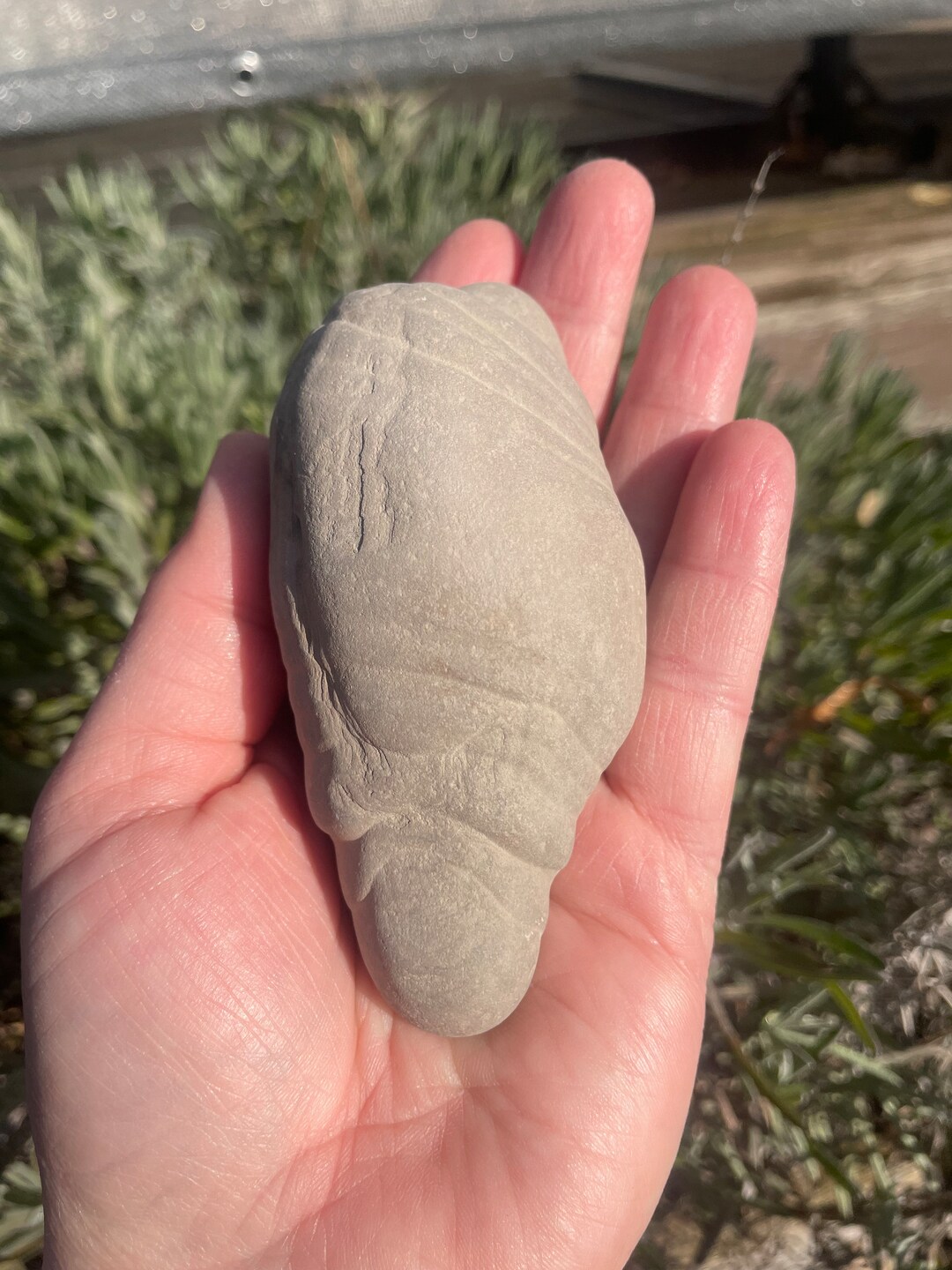 Concretion / Fairy Stone - Etsy