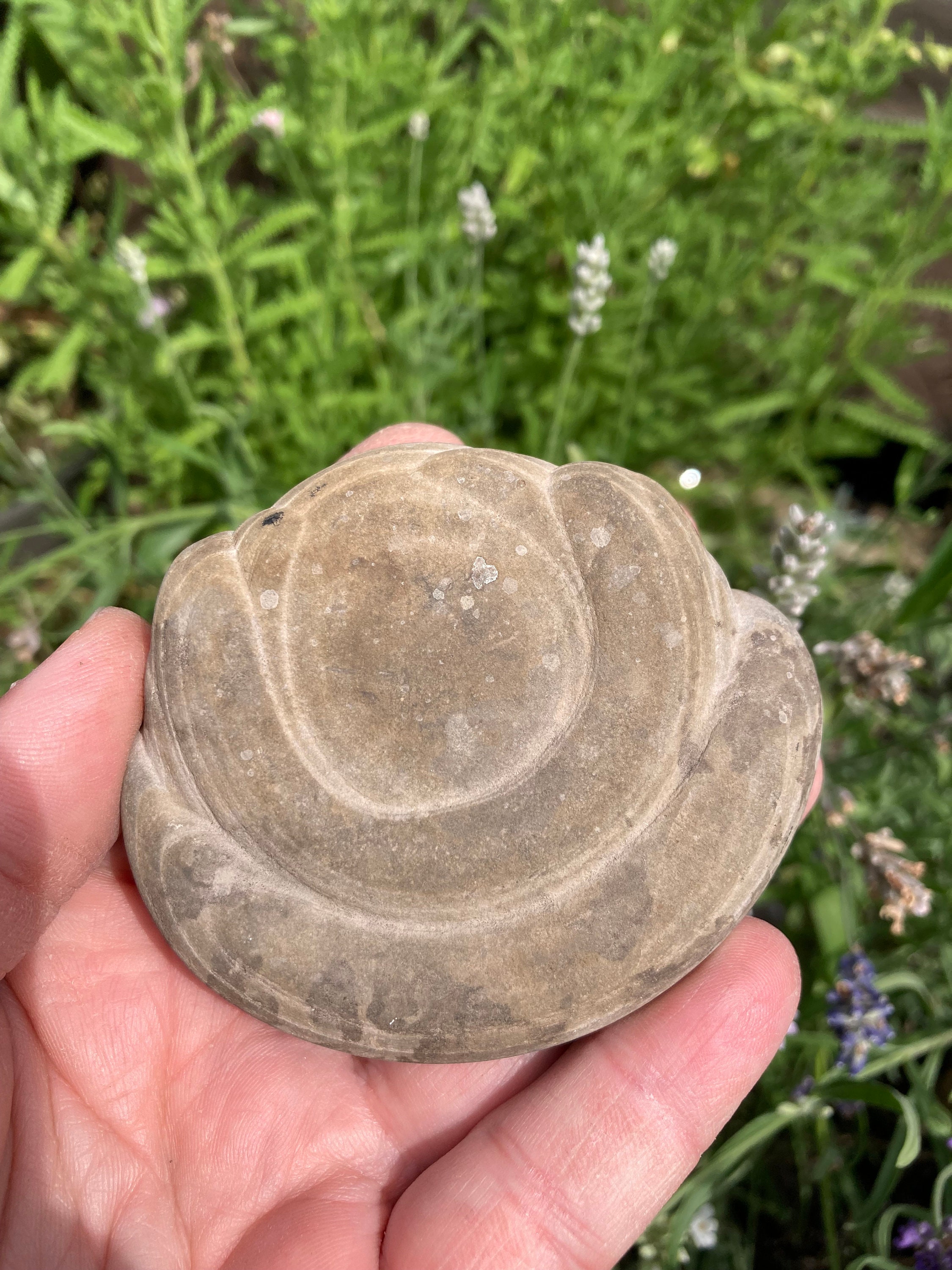 Rare Concretion / Fairy Stone / Goddess Stone - Etsy