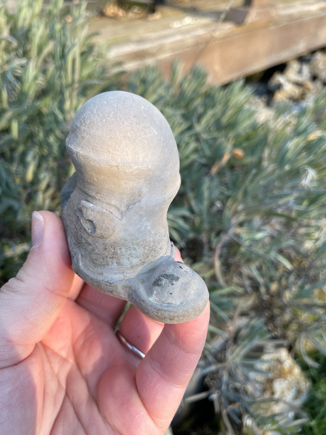 Rare Concretion / Fairy Stone - Etsy