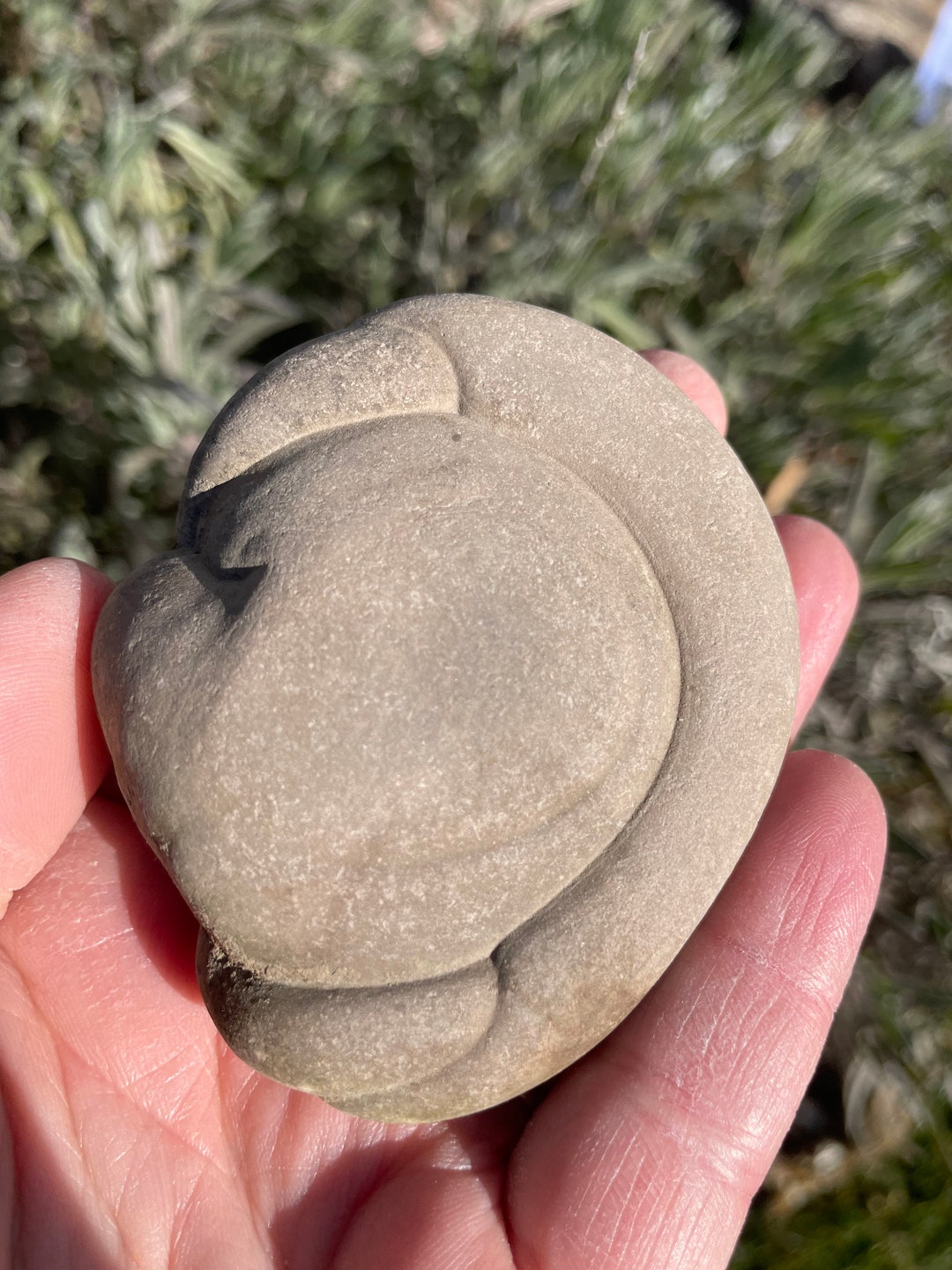 Concretion / Fairy Stone - Etsy