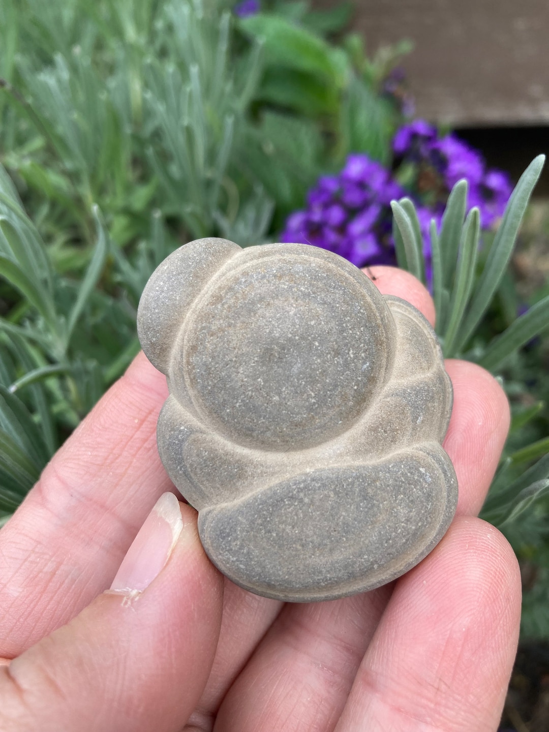 Rare Concretion / Fairy Stone - Etsy