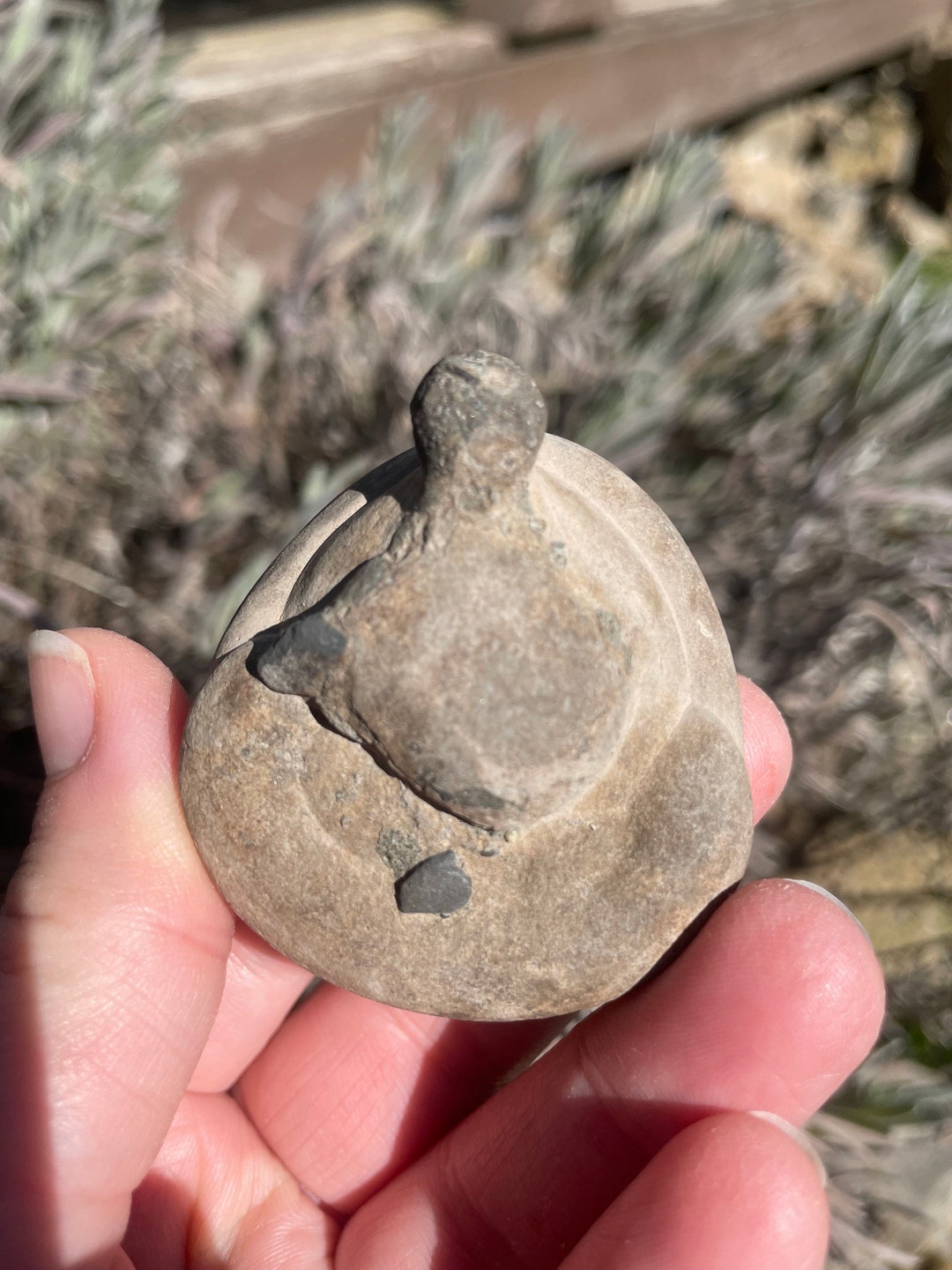 Fairy Stone / Concretion - Etsy