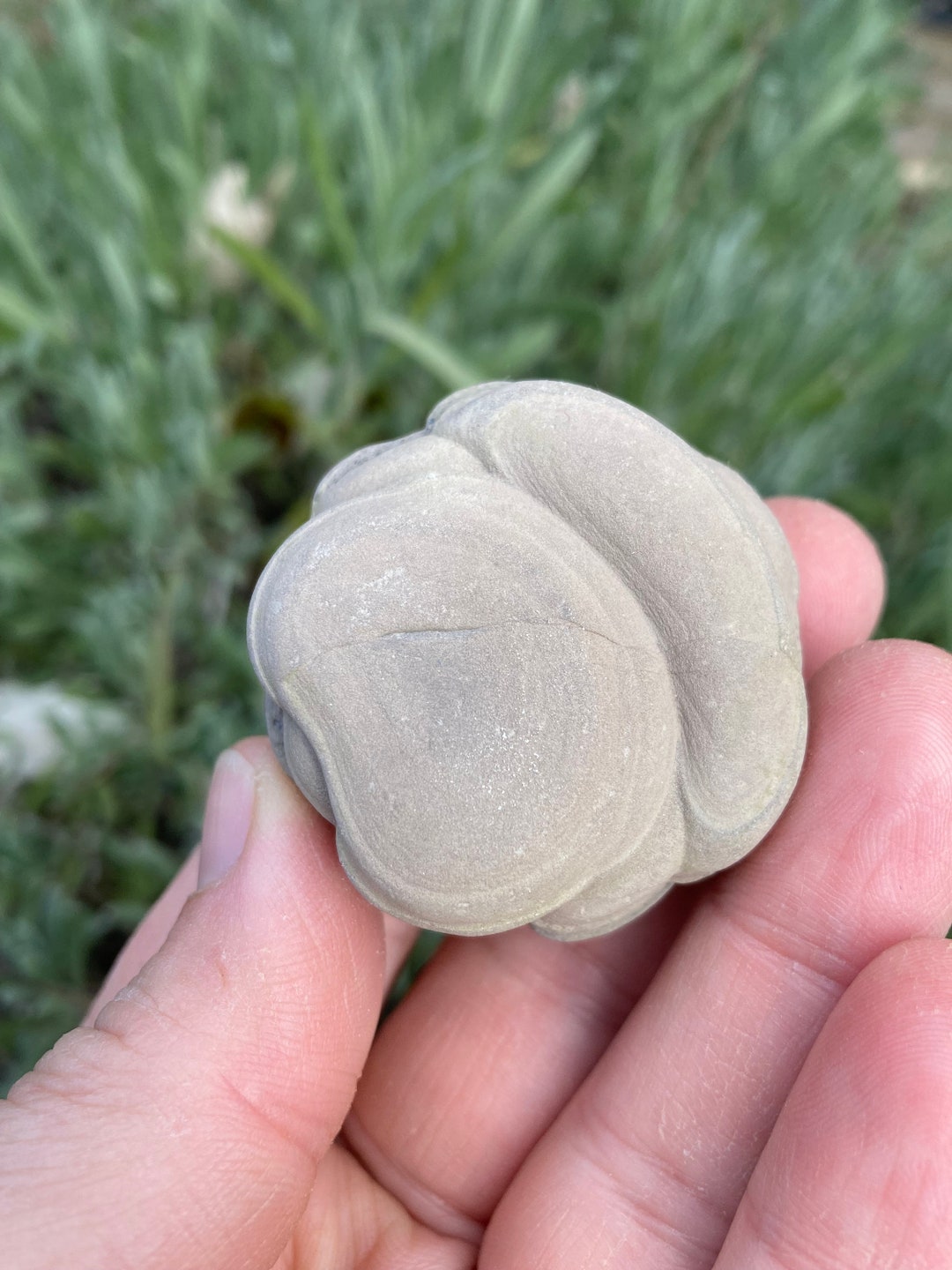 Natural Concretion / Fairy Stone / Goddess Stone - Etsy
