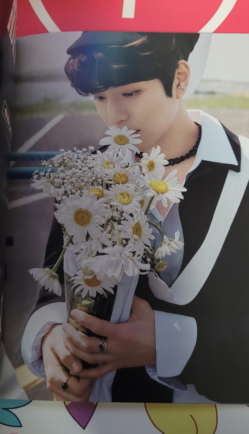 Stray Kids Maxident Case File official Photobook - Etsy