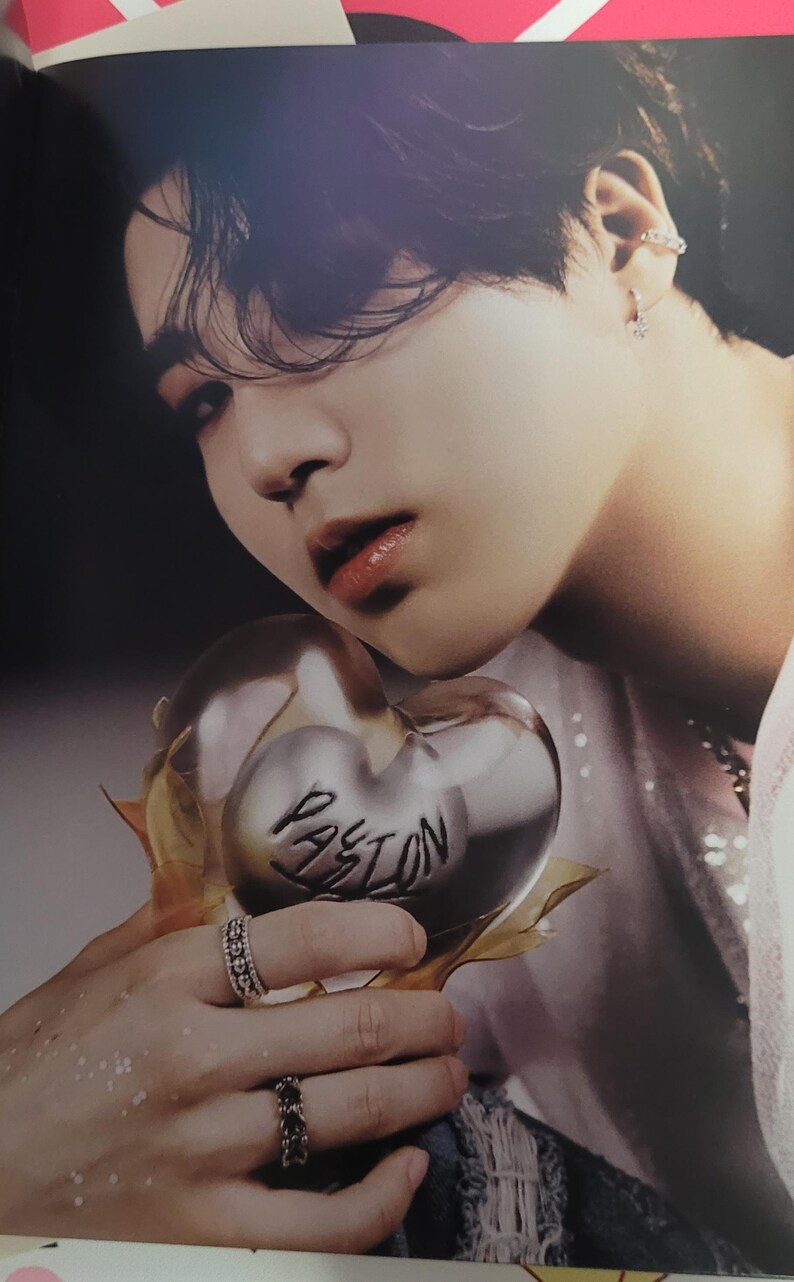 Stray Kids Maxident Case File official Photobook - Etsy