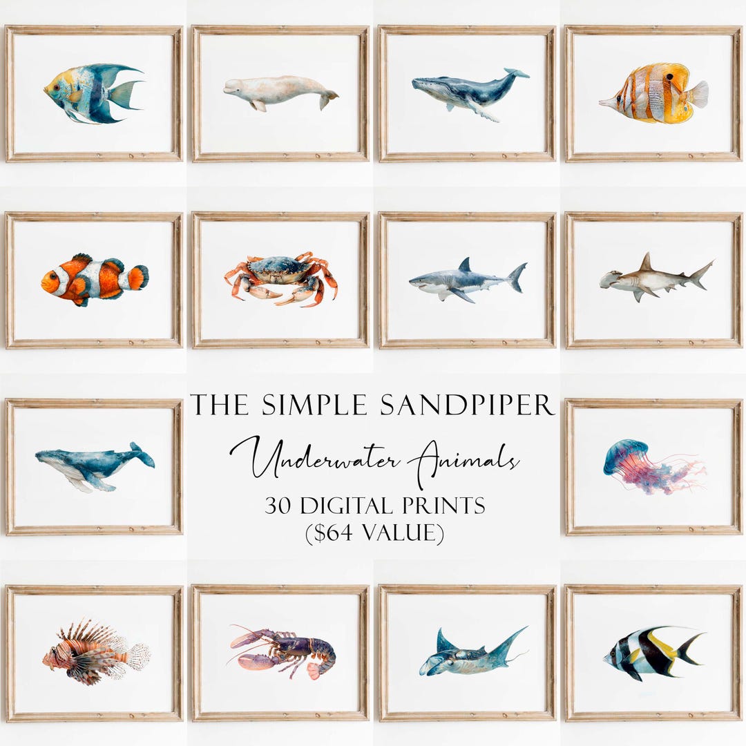 Watercolor Sea Life Prints: Coastal Ocean Animal Art (digital Download ...