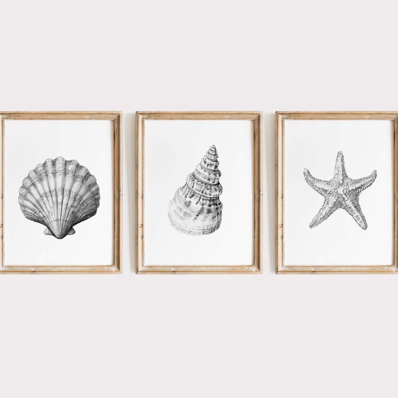 Seashell Wall Art - Etsy