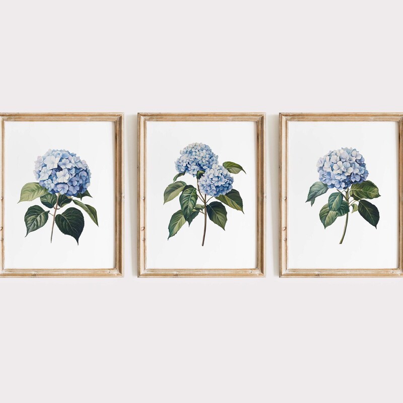 Hydrangea Print - Etsy