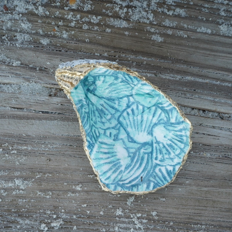 Teal Shells - Etsy