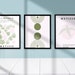 Sage Green and Blush Pink Print Set for Gallery Wall, Sage Green ...