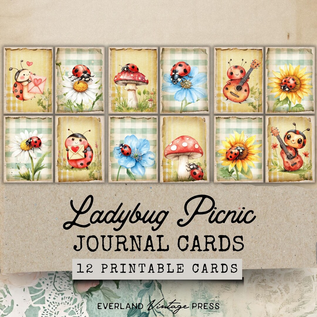 Ladybug Journal Cards, Ladybug Folio Kit Whimsical, Ladybug Junk ...