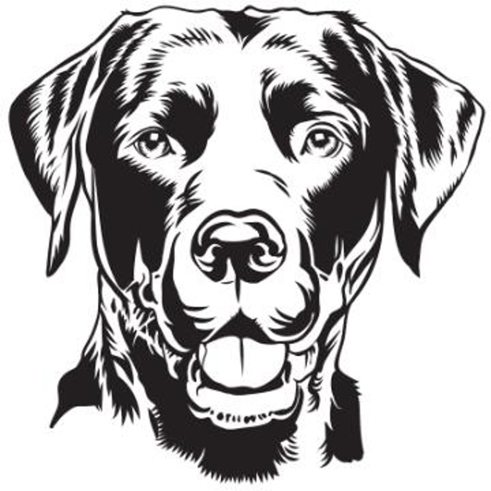 Labrador Dog Puppy Permanent Vinyl Decal Sticker - Etsy