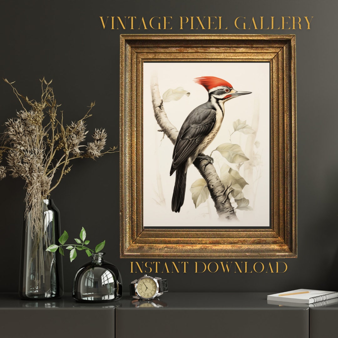 Bird Lover Gift Pileated Woodpecker Digital Wall Art Digital Wall Decor ...