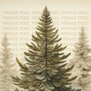 Vintage Christmas Tree Digital Wall Art Decor Wintery Forest Scene ...