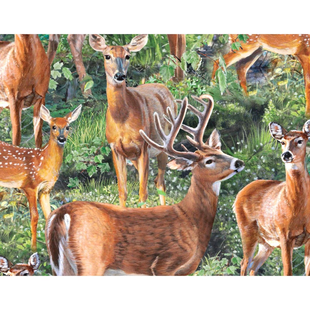 Wild Wings Cradle Rock Deer Fabric Fat Quarter 18x21 100% Cotton ...
