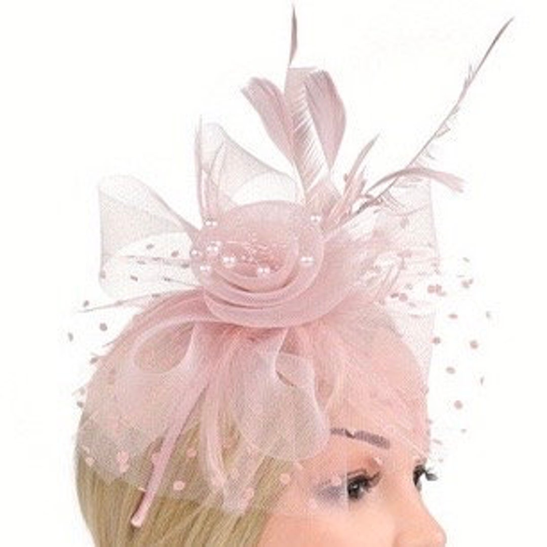 Elegant Feather / Net Fascinator Blush Pink - Etsy UK