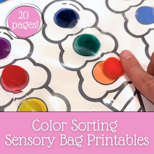 Color Matching Sensory Bag Printables. Pom Pom Fine Motor Sorting ...