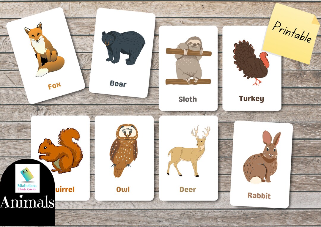 Animal Flash Cards 32 Printable PDF Cards Montessori Cards - Etsy