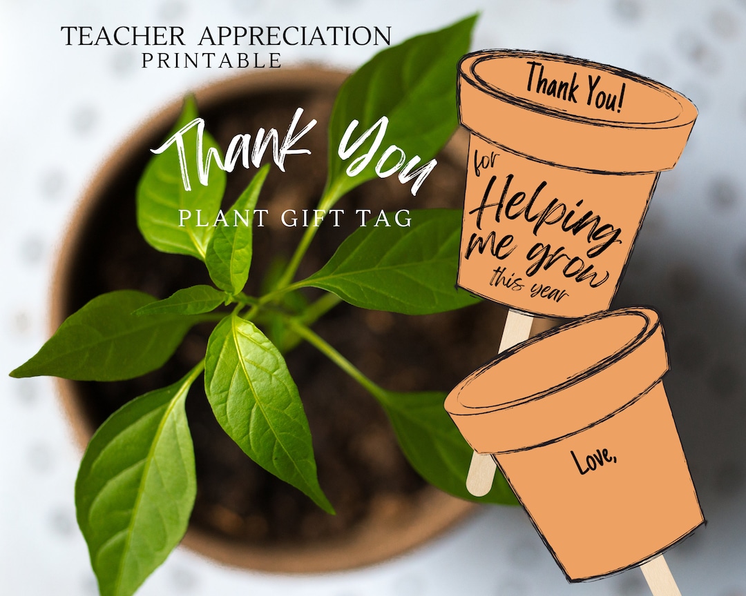 Teacher Plant Gift Tag Printable Teacher Plant Gift Tags Teacher ...